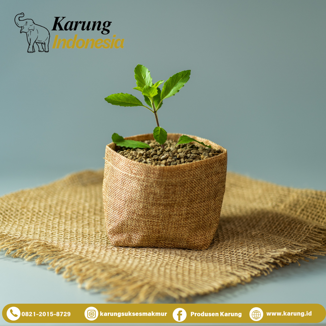 Harga Pot Karung - Indonesian Sack